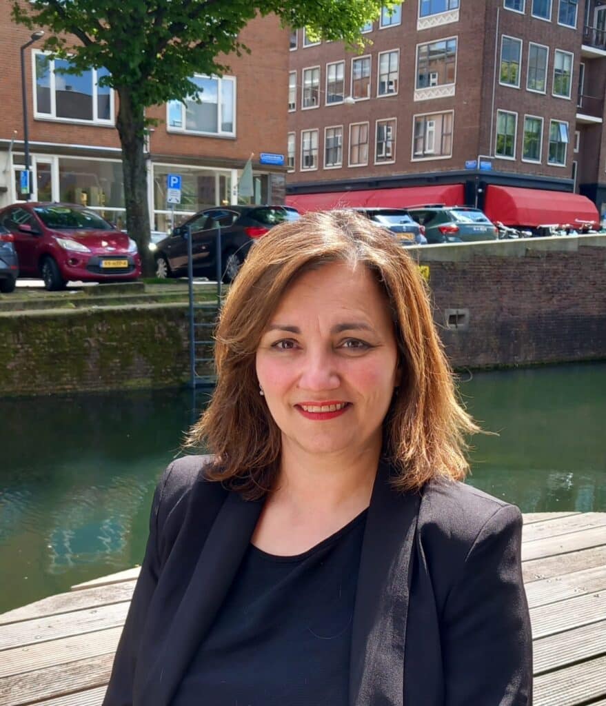 Over Meneer de Groot - Meneer de Groot